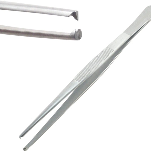6 Inch Rat Tooth Forceps Stainless Steel 25Q University of Alberta Bookstore